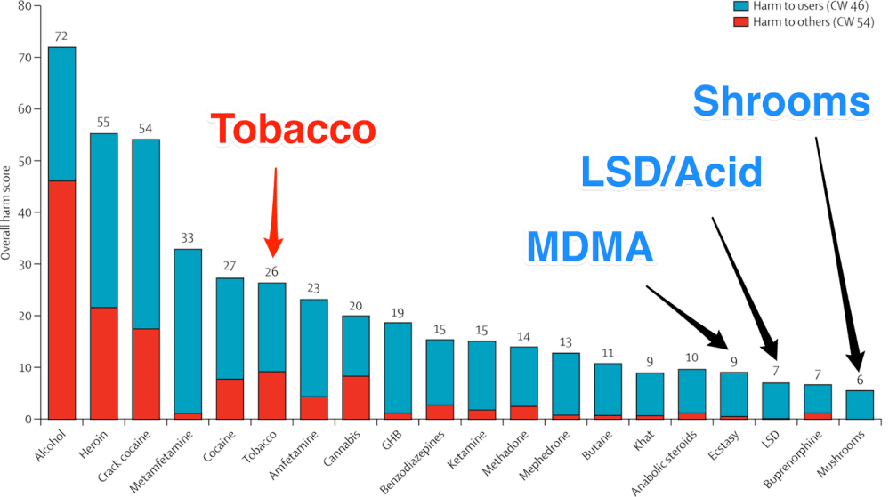 The Role of Psychedelics